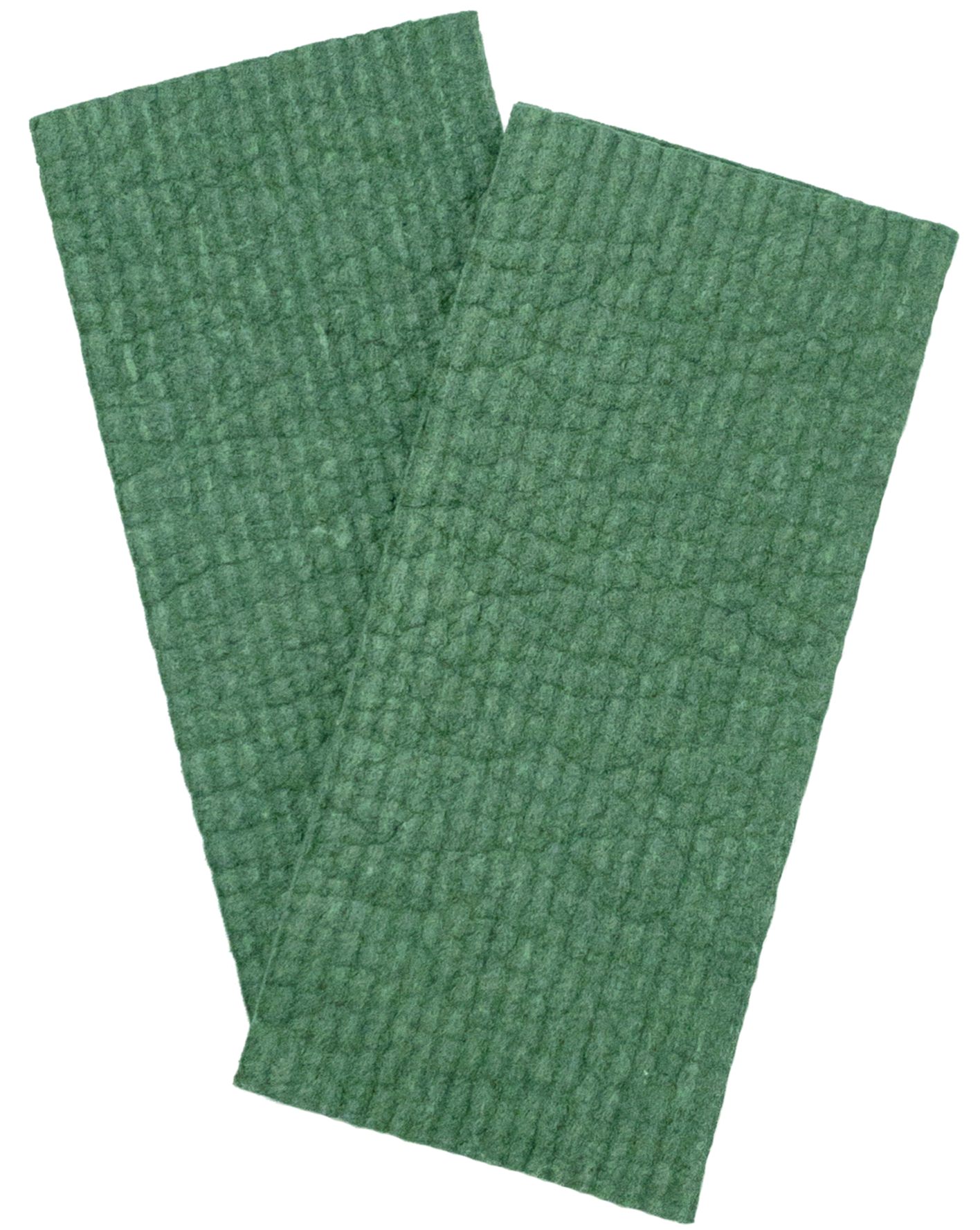 Solid Sponge Cloth | 2 Pack – Ecovana Retail Inc.